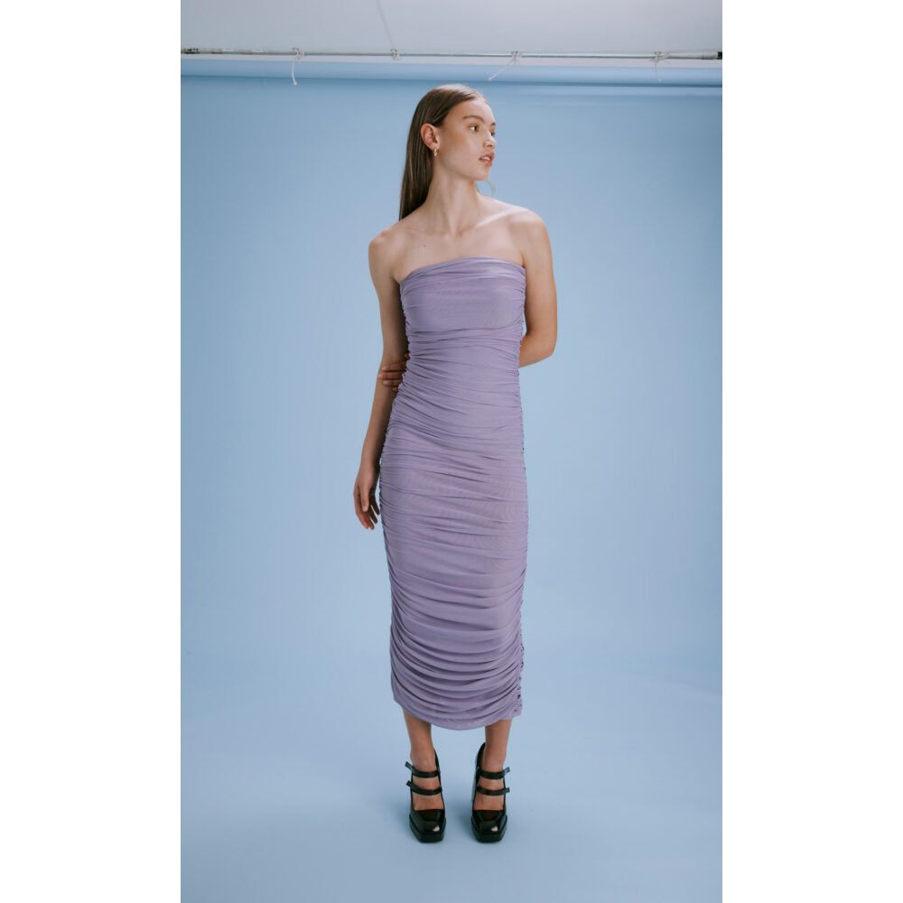 Wysteria Ginni Mesh Tube Dress - 12 – The Curvy Rental Boutique